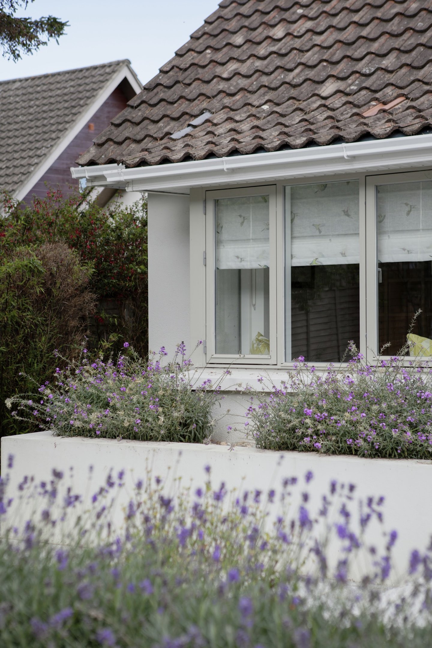 7 sure fire ways to boost your homes kerb appeal - Optimise Home ...